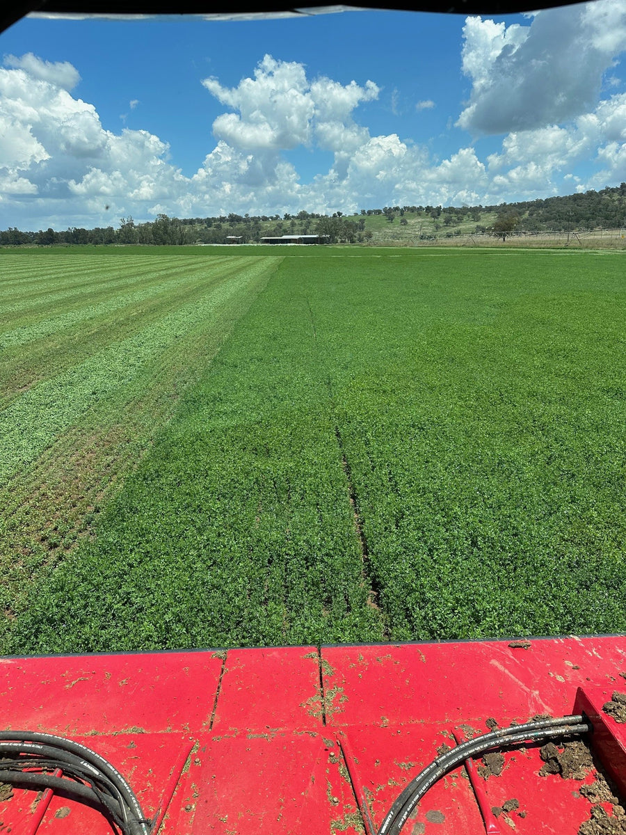 Hay Inventory & Sales Record (US Version) – AMC